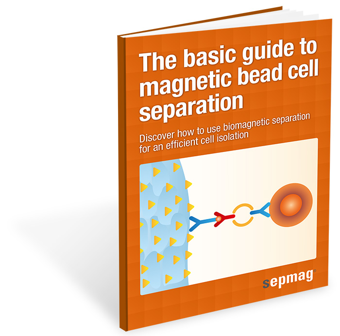 eBooks and articles - Sepmag